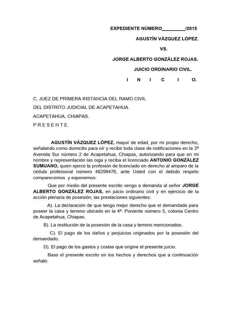 Formato de Demandas Plenaria. | PDF | Demanda judicial | Salario mínimo