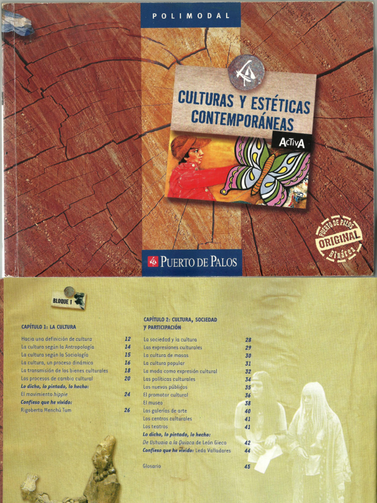 Culturas Estéticas Contemporáneas - Bloque 1 y 2 | PDF