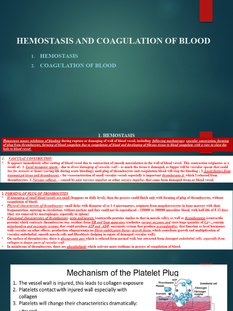 Hemostasis and Blood Coagulation Process | PDF | Coagulation | Platelet