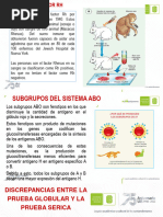 Laboratorio N°3. Determinación de Grupos Sanguíneos. Tipaje Directo ...