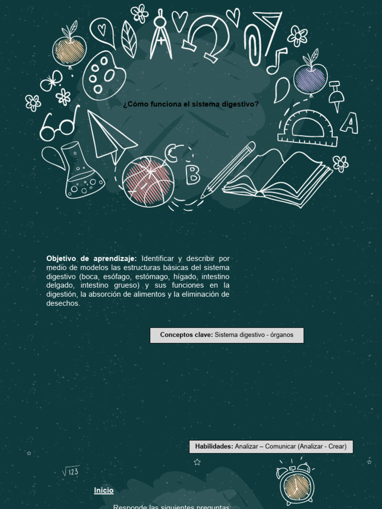 Oa 1 Nivel 1 PPT4 | PDF | Sistema digestivo humano | Digestión