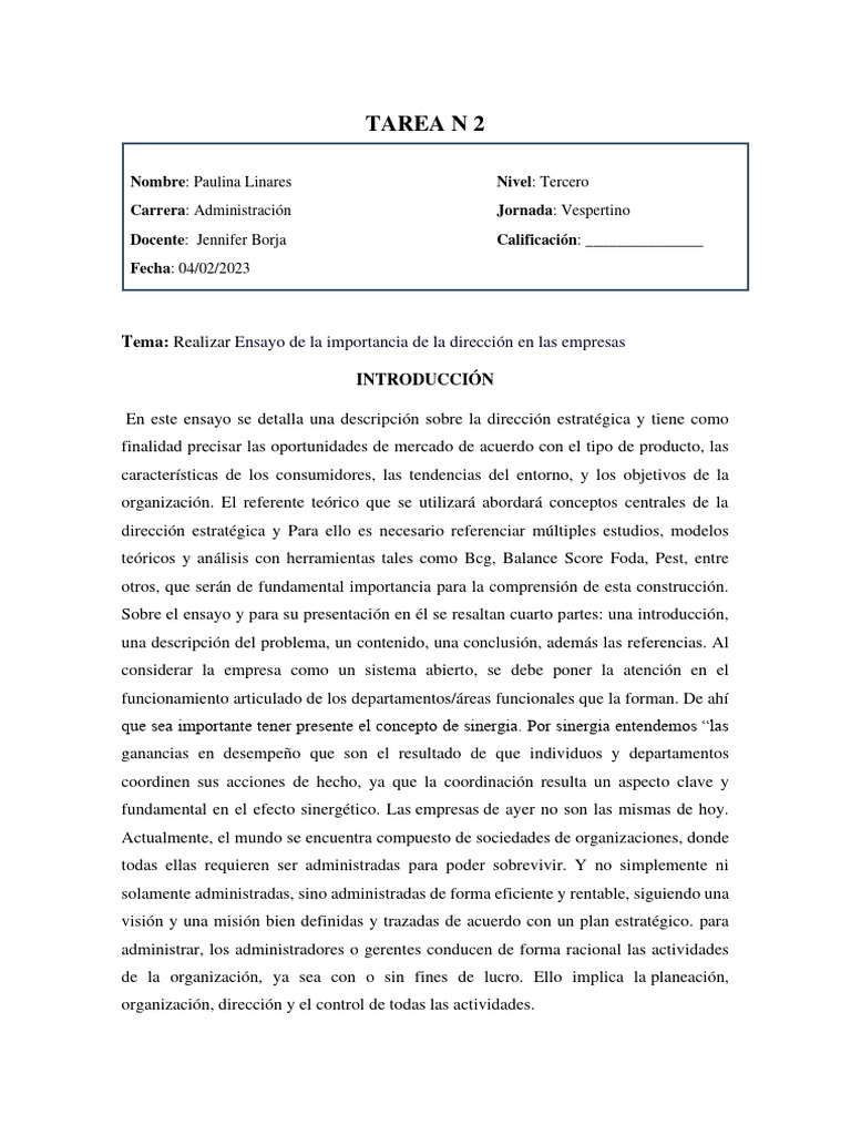 Tarea N 2 | Descargar gratis PDF | Business | Producto (Negocio)