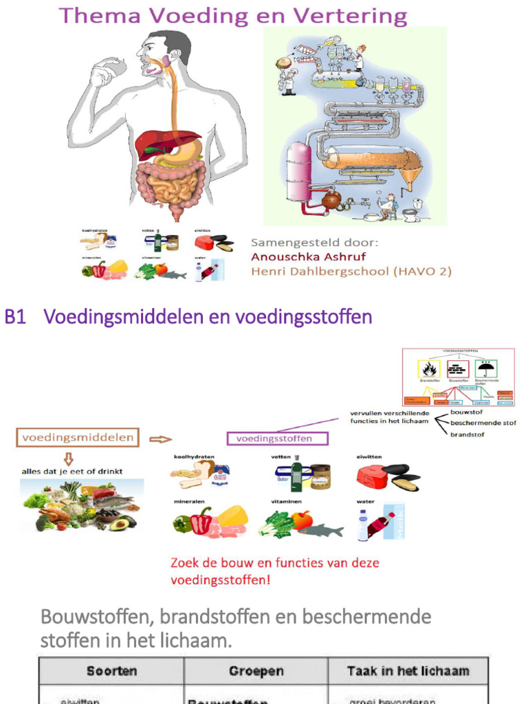Thema Voeding en Vertering | PDF