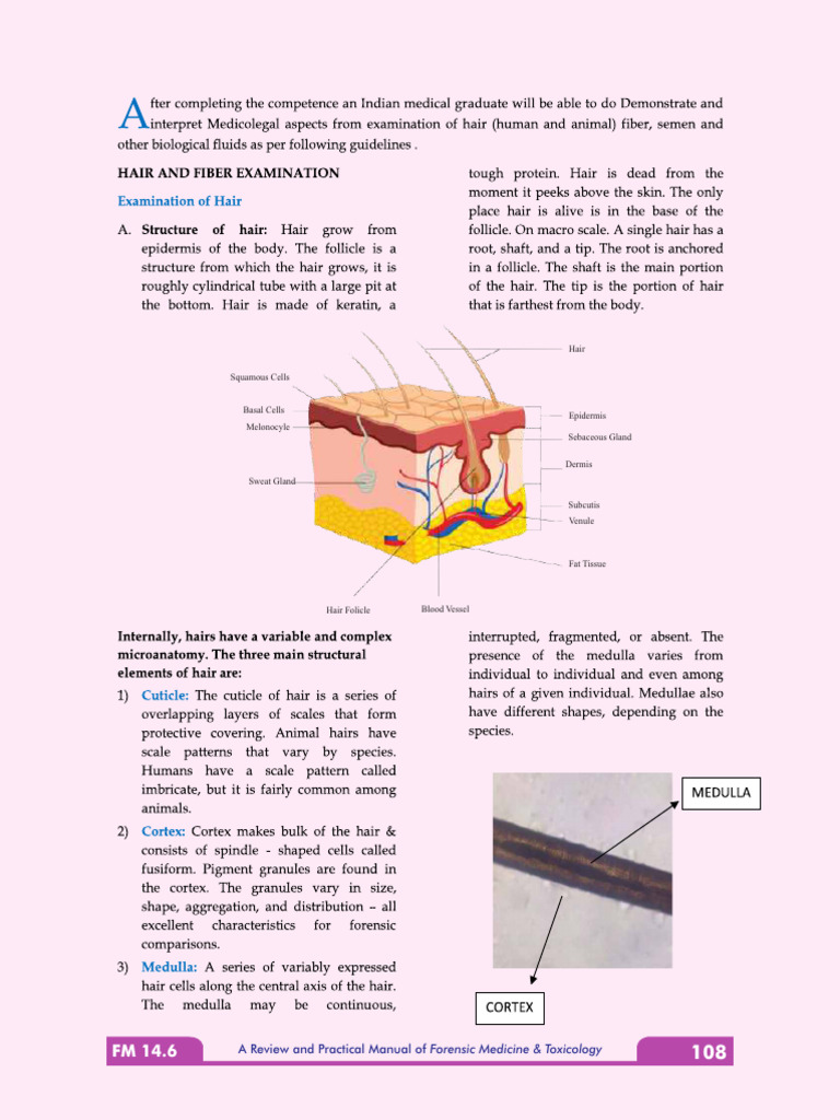 Diffrence Between Human Hair and Animal Hair | PDF