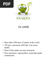 Awareness Safety Talk SNAKE HAZARDS | PDF | Snake | Venomous Snakes