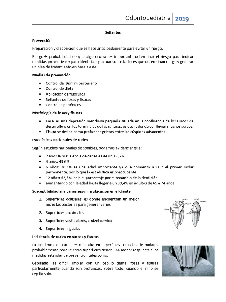 Clase 11 - Odontopediatría sellantes | PDF | Diente | Boca