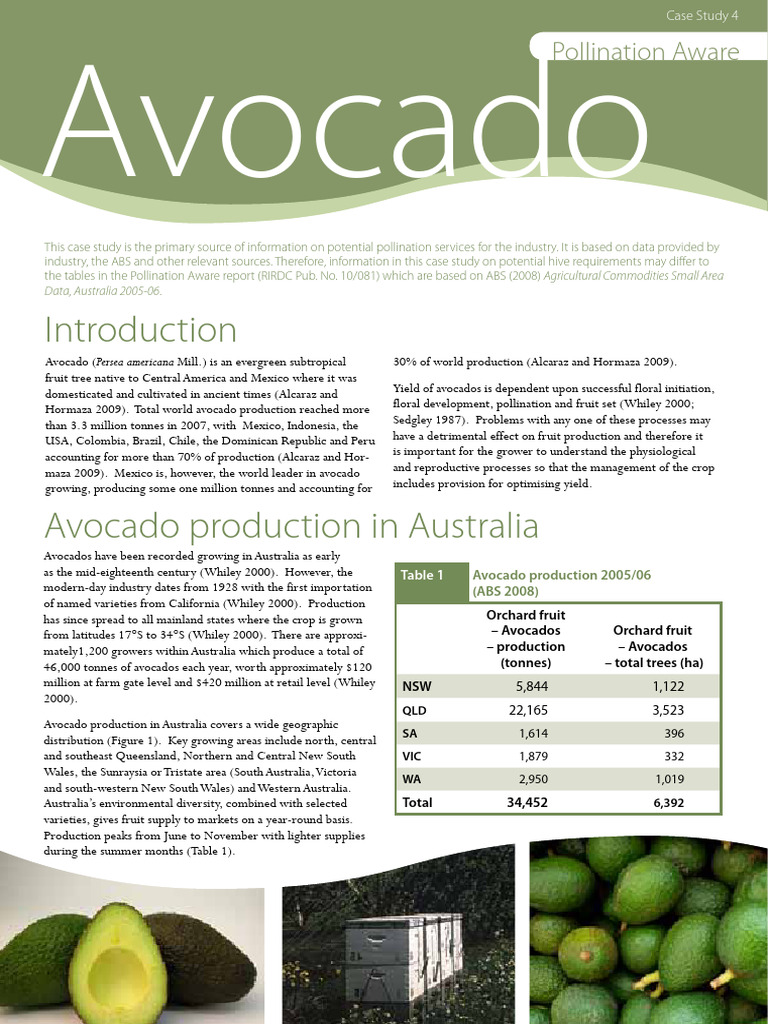10 111 Cs4 Avocado Web | PDF | Flowers | Pollination