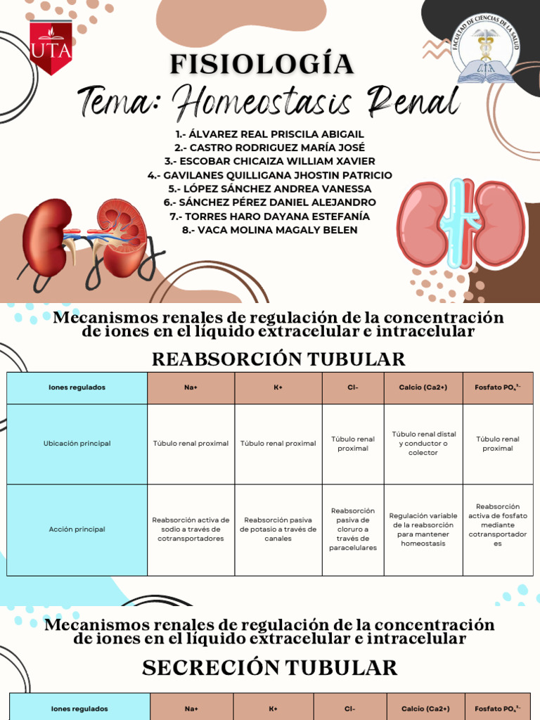 Homeostasis Renal | PDF | Homeostasis | Medicina de Cuidados Intensivos