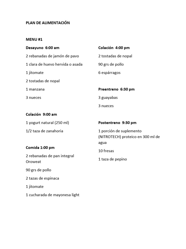 Ejemplo Plan de Alimentacion | PDF