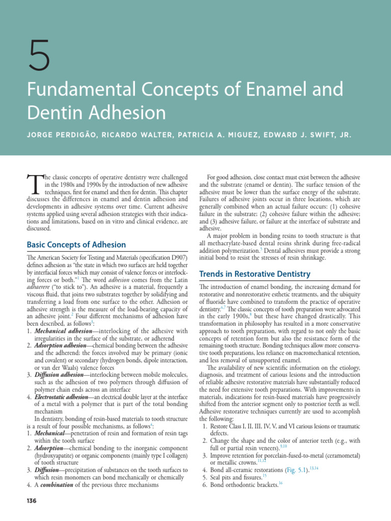 Chapter 5 Fundamental Concepts of Enamel and | PDF | Dental Composite | Dentin