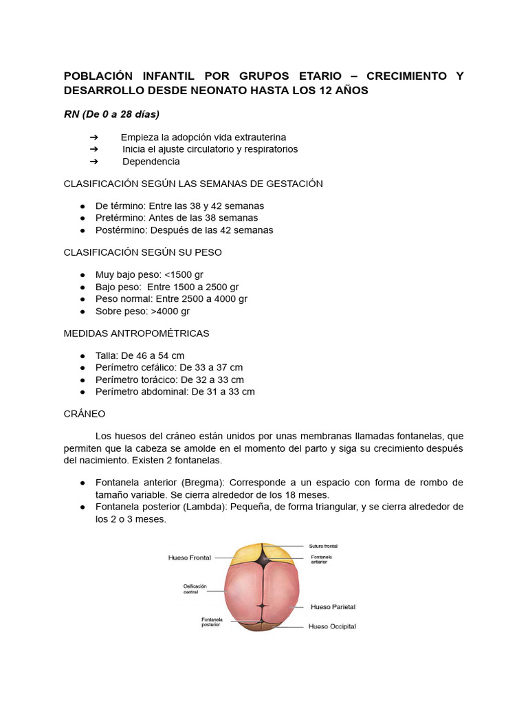 POBLACIÓN INFANTIL POR GRUPOS ETARIO - CRECIMIENTO Y DESARROLLO DESDE ...