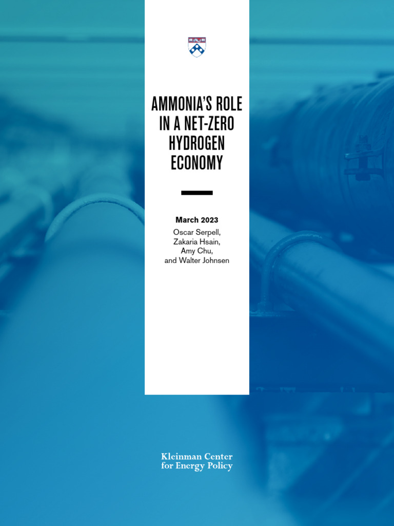 Ammonia in Hydrogen Economy | PDF | Energy Storage | Hydrogen Economy