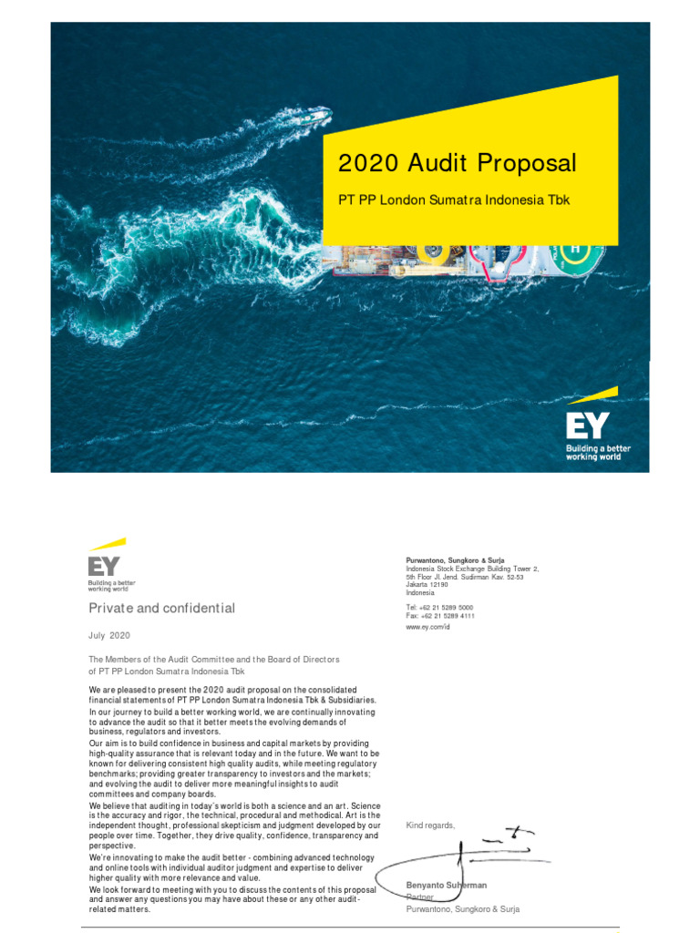 Proposal Audit EY | PDF