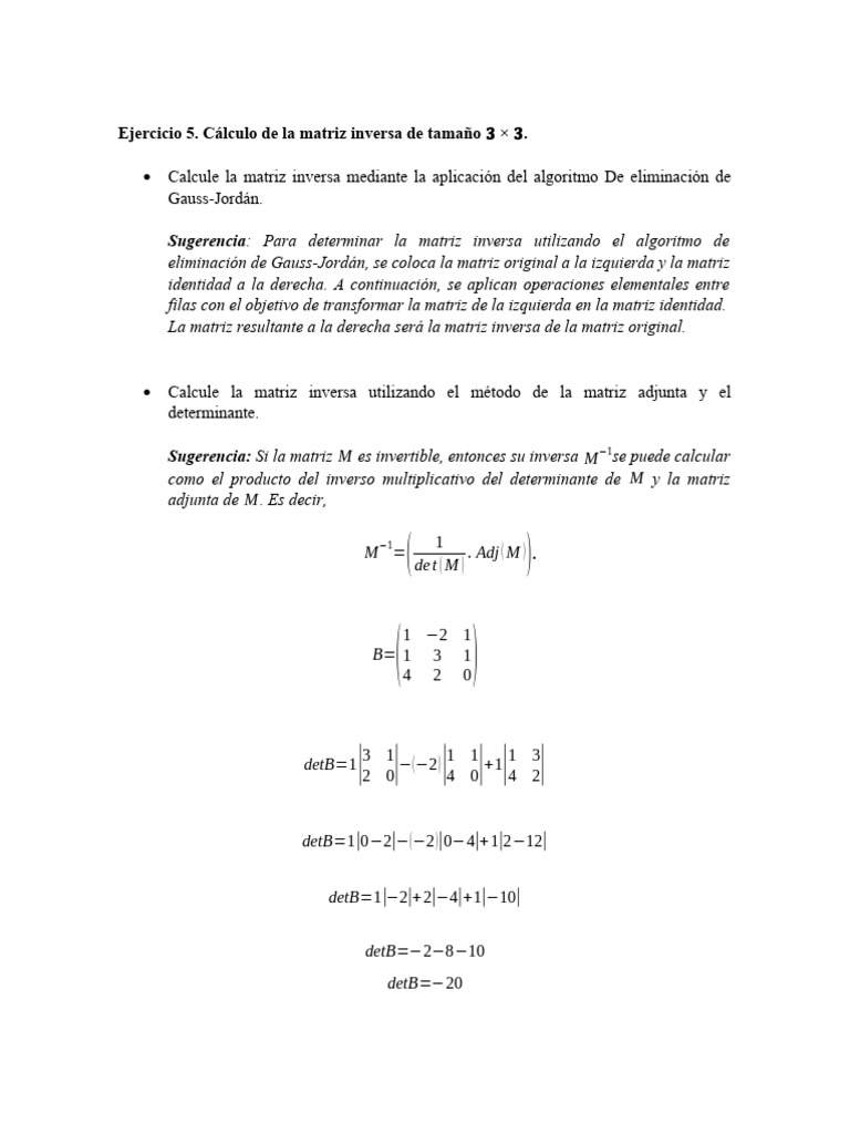 Ejercicio 5 y 6 | PDF | Determinante | Matriz (Matemáticas)