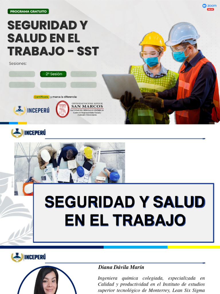 Clase 2. Supervisor - Comité de SST | PDF