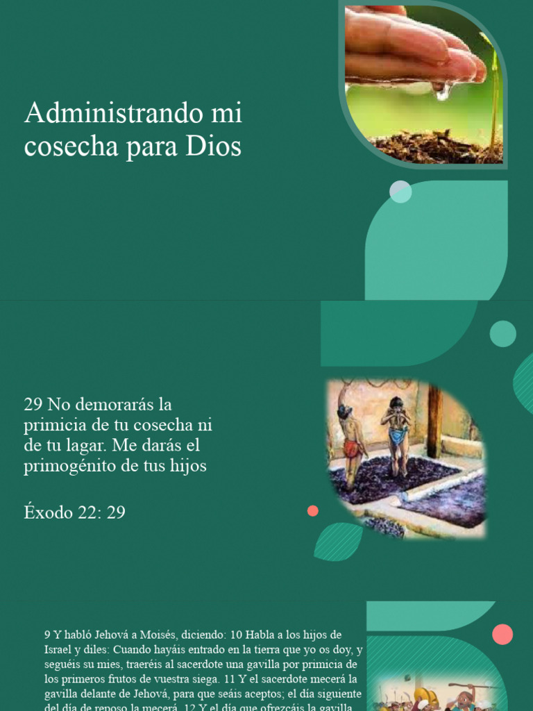 Primicias de la Cosecha en la Biblia | PDF