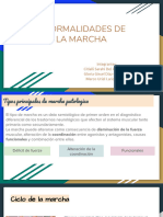 Marcha Trendelenburg: Análisis y Alteraciones | PDF | Pelvis | Sistema ...