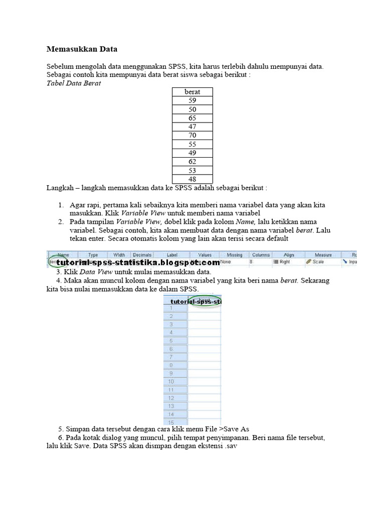 Memasukkan Data Dan Mengolah | PDF