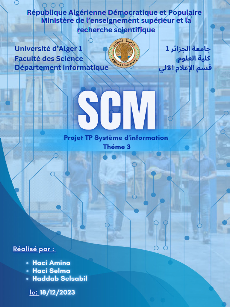 SCM Projet TP Systeme D'information | PDF
