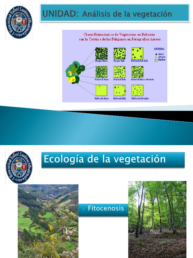 Analisis de La Vegetación | PDF