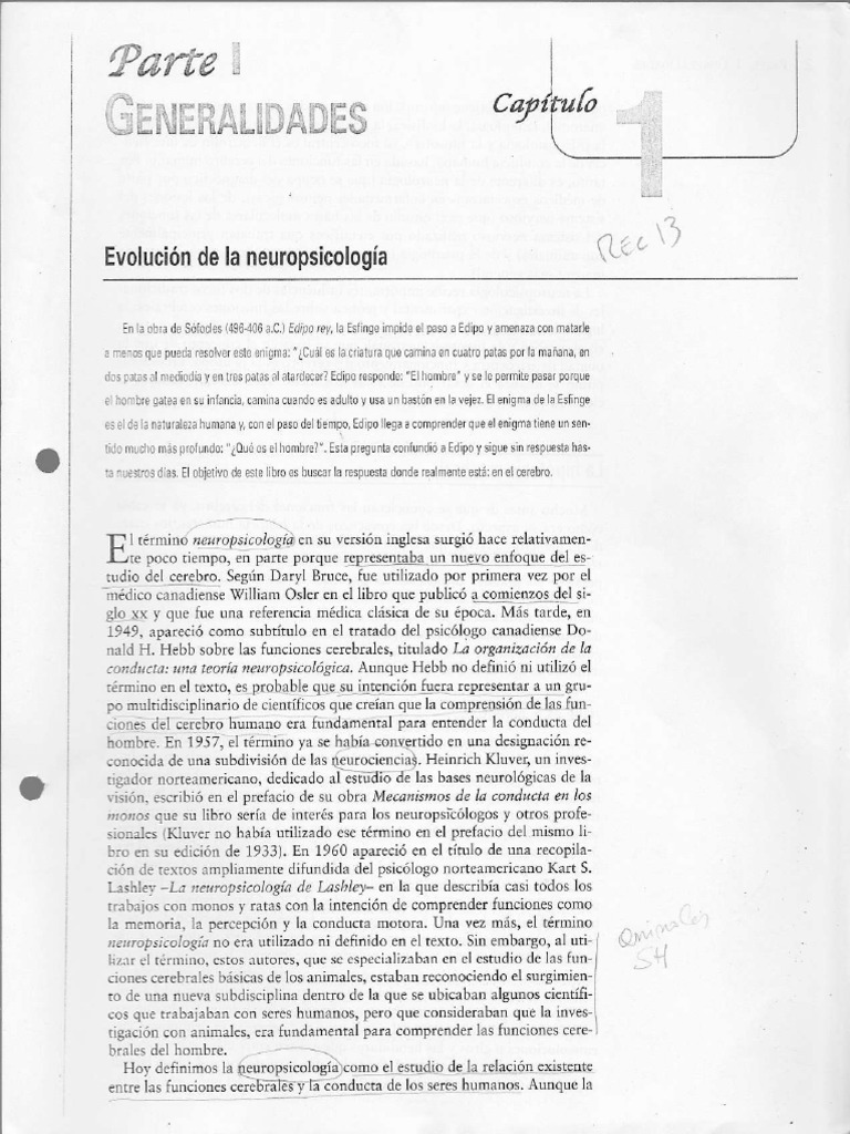 NPH Cap1 Parte1 | PDF | Neurociencia | Cerebro