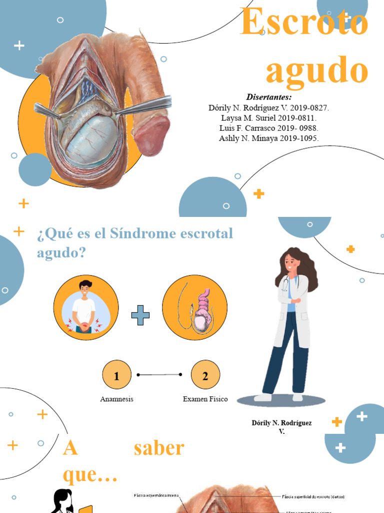 Grupo #2- Escroto agudo | PDF | Medicina CLINICA | Medicina