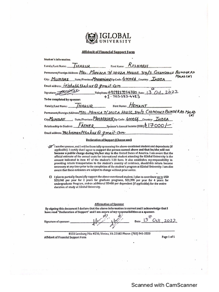 Affidavit of Sponsor | PDF