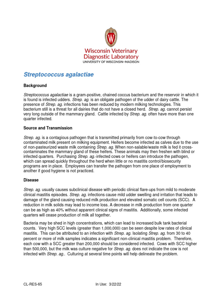 Streptococcus Agalactiae | PDF | Infection | Cattle