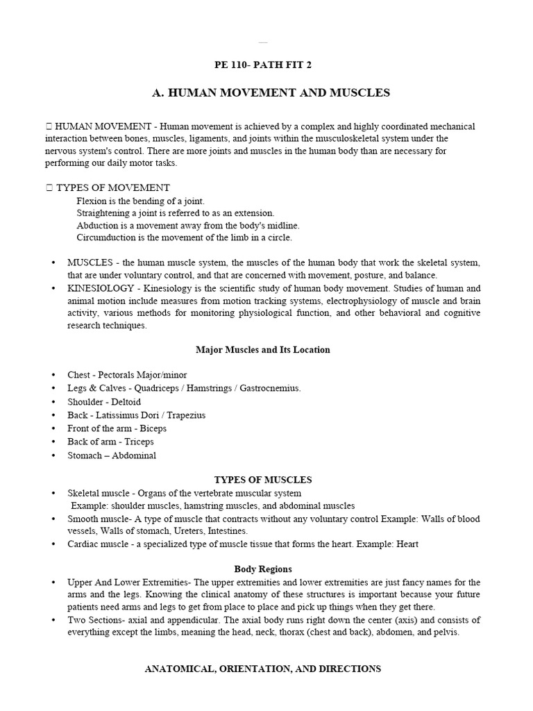Human Movement and Muscle | PDF | Anatomical Terms Of Location | Muscle