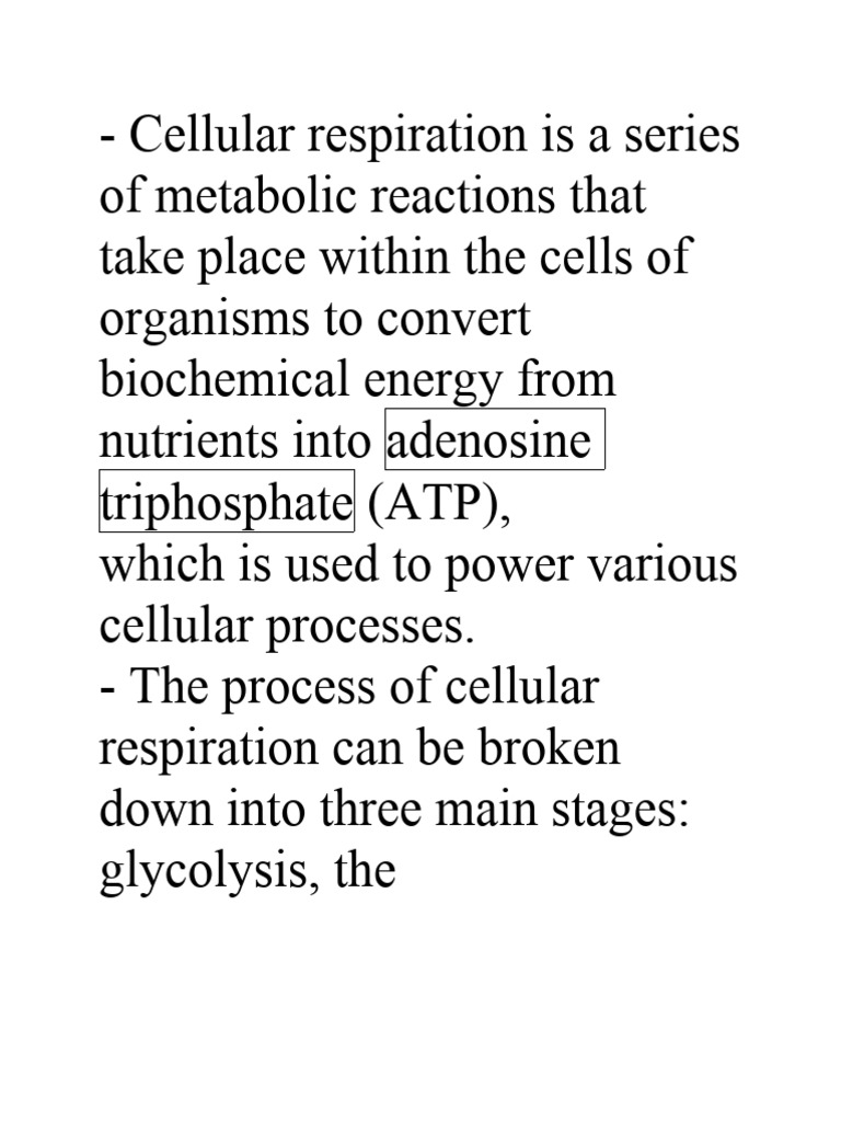 Cellular respiration is a series of metabolic reactions that take place within the cells of ...