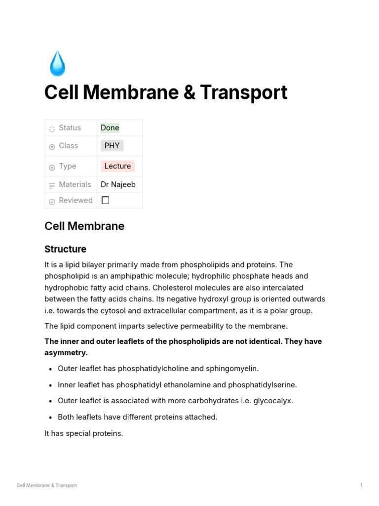Cell Membrane Transport | PDF | Cell Membrane | Lipid Bilayer