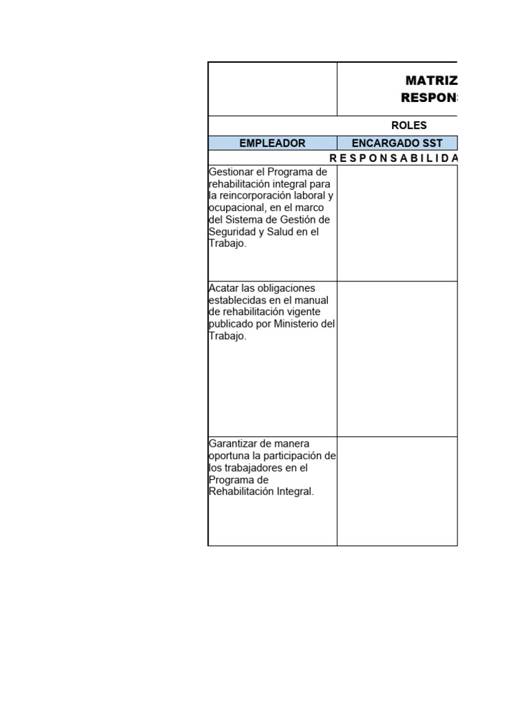 Matriz de Responsabilidades | PDF