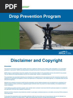 Drop Object Prevention Plan | PDF | Tools | Employment