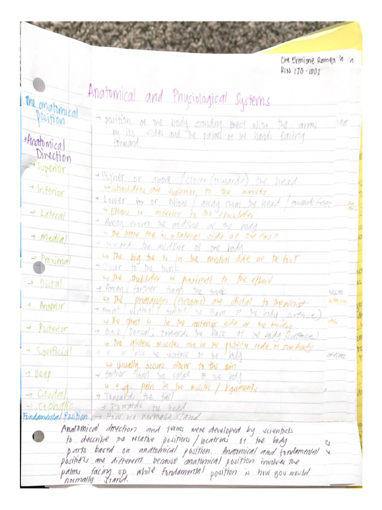 Notetaking Assignment #1 | PDF
