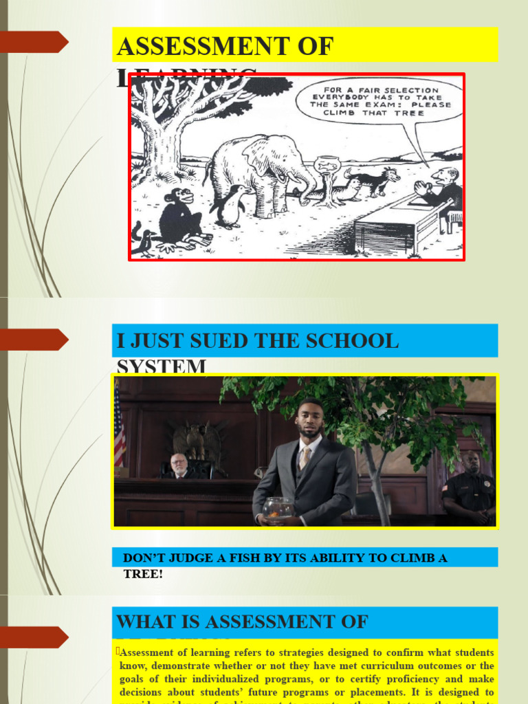 Assessment Intro Pdf Educational Assessment Learning