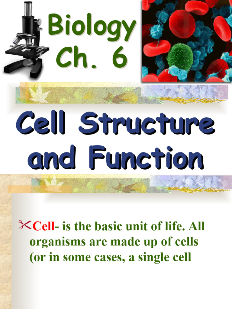 Cells | PDF