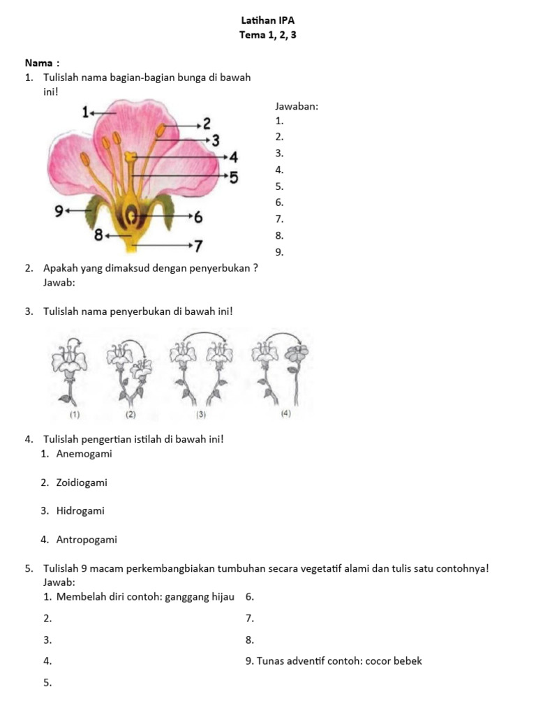 Latihan IPA: Bunga, Penyerbukan, dan Adaptasi | PDF