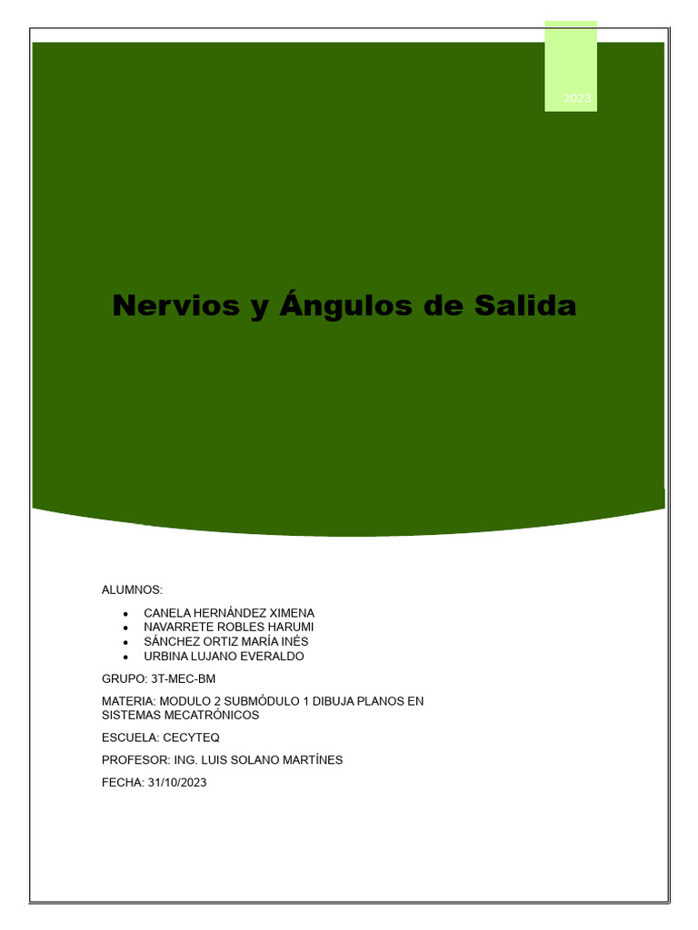 PRACTICA 5 NERVIOS Y ÁNGULOS DE SALIDA | PDF