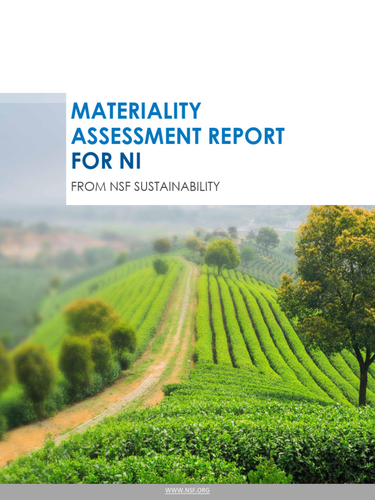 Materiality Assessment Report | PDF | Sustainability | Supply Chain