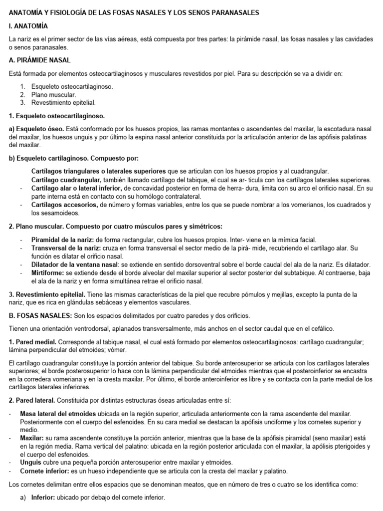 Anatomía y Fisiología de Las Fosas Nasales y Los Senos Paranasales | PDF | Cabeza y cuello ...