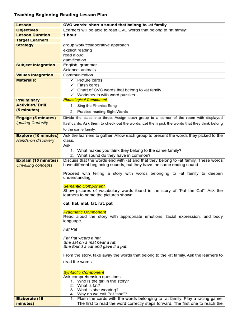 5es Lesson Exemplar | PDF | Behavior Modification | Learning Methods