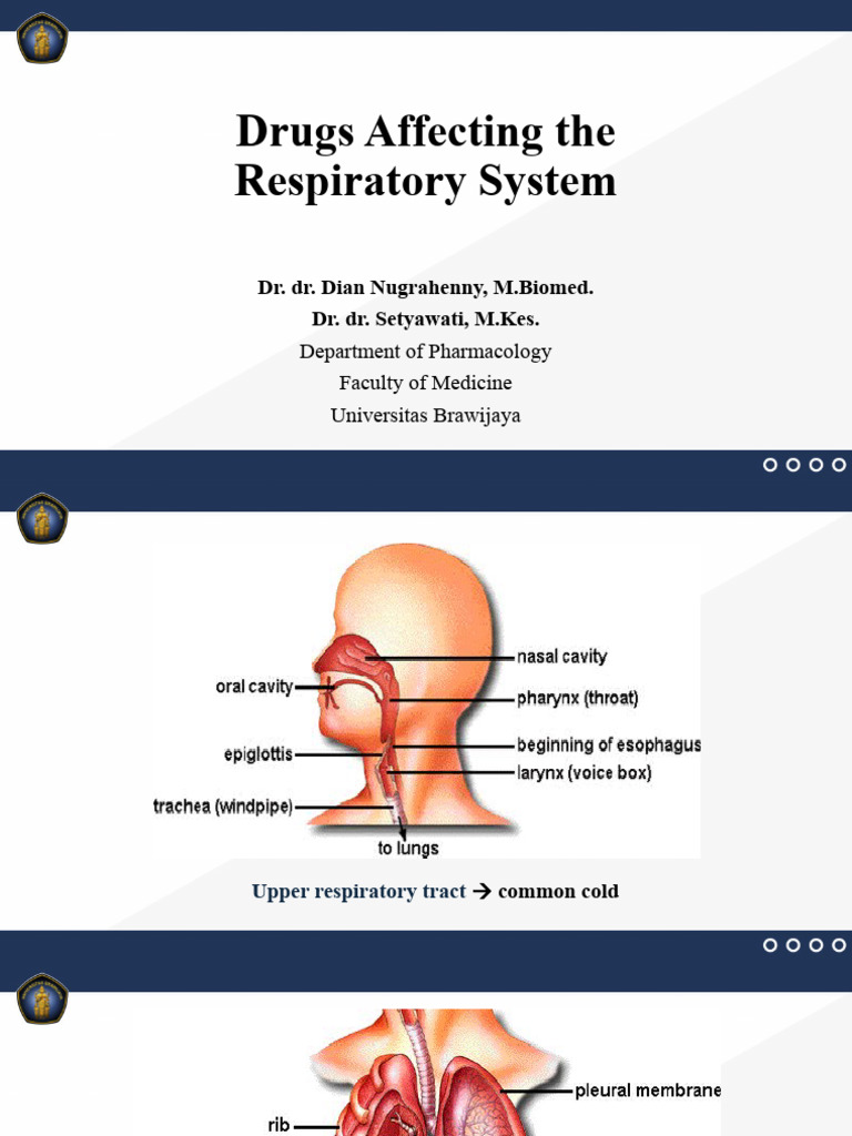 Respiratory System Drugs Overview | PDF | Cough | Asthma