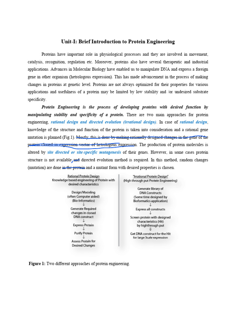 Protein Engineering - Notes | PDF | Polymerase Chain Reaction | Proteins