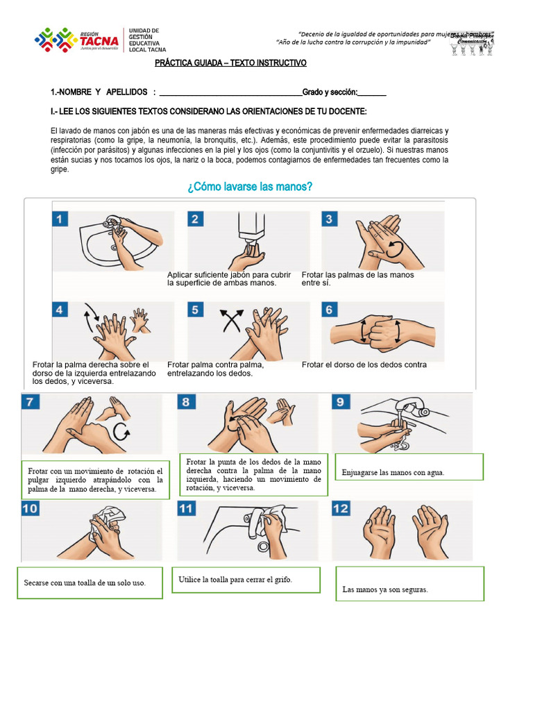 Practica Guiada y Calificada Texto Instructivo Alumno | PDF | Lavado de manos | Electrostática