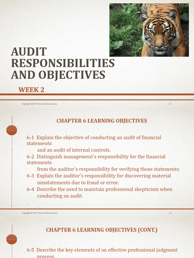 2_Audit Responsibilities and Objectives | PDF