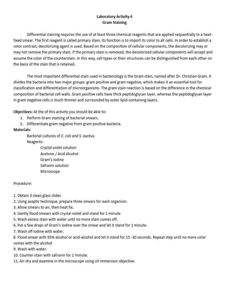 Activity 4 Gram Staining | PDF | Staining | Microscopy