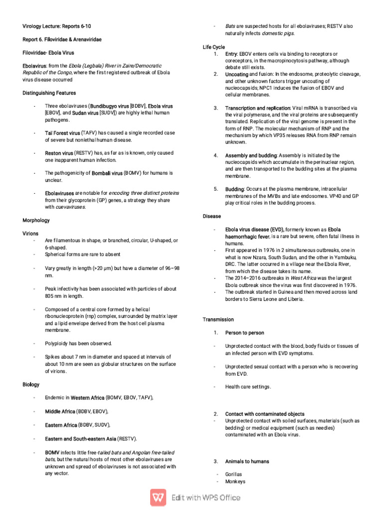 Reports 6 | PDF