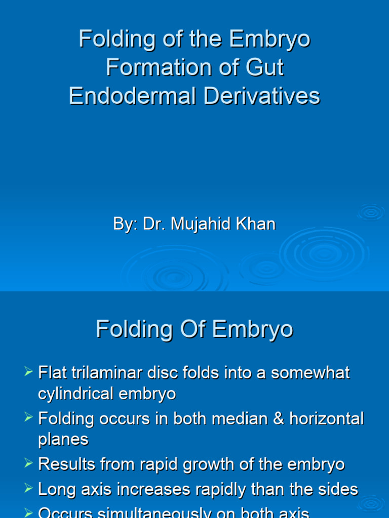 8.Folding of Embryo | PDF | Gastrointestinal Tract | Anatomy