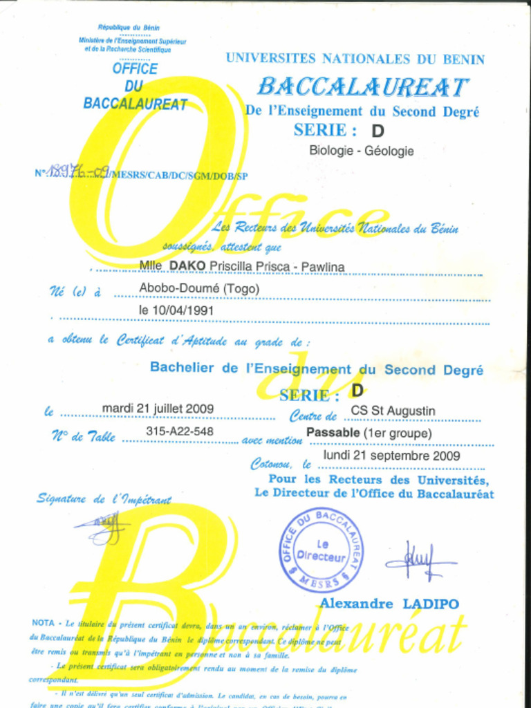 Bac PPP | PDF