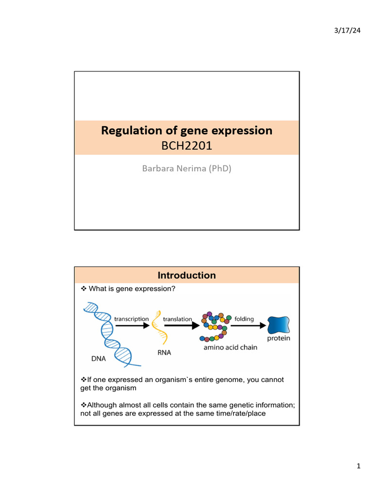 Gene Expression Regulation Guide | PDF | Regulation Of Gene Expression ...